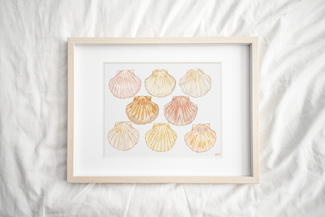 SEA SHELLS – MFMDESIGNS